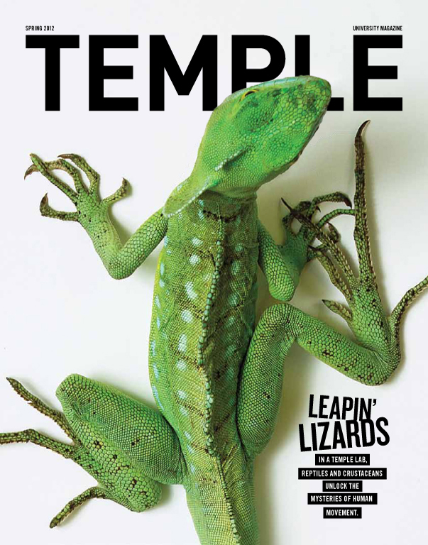 Temple Magazine - Graphis Portfolio