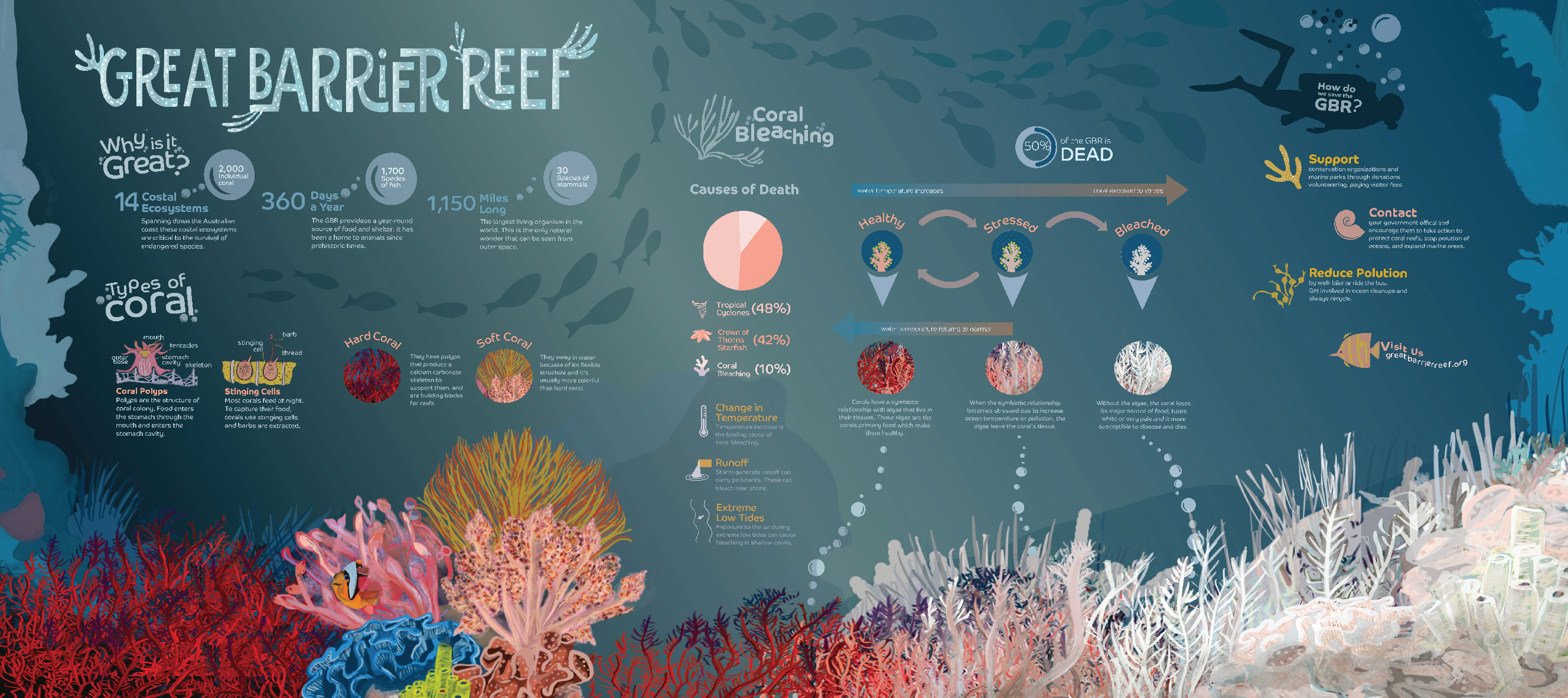 Great Barrier Reef Infographic - Graphis Portfolio