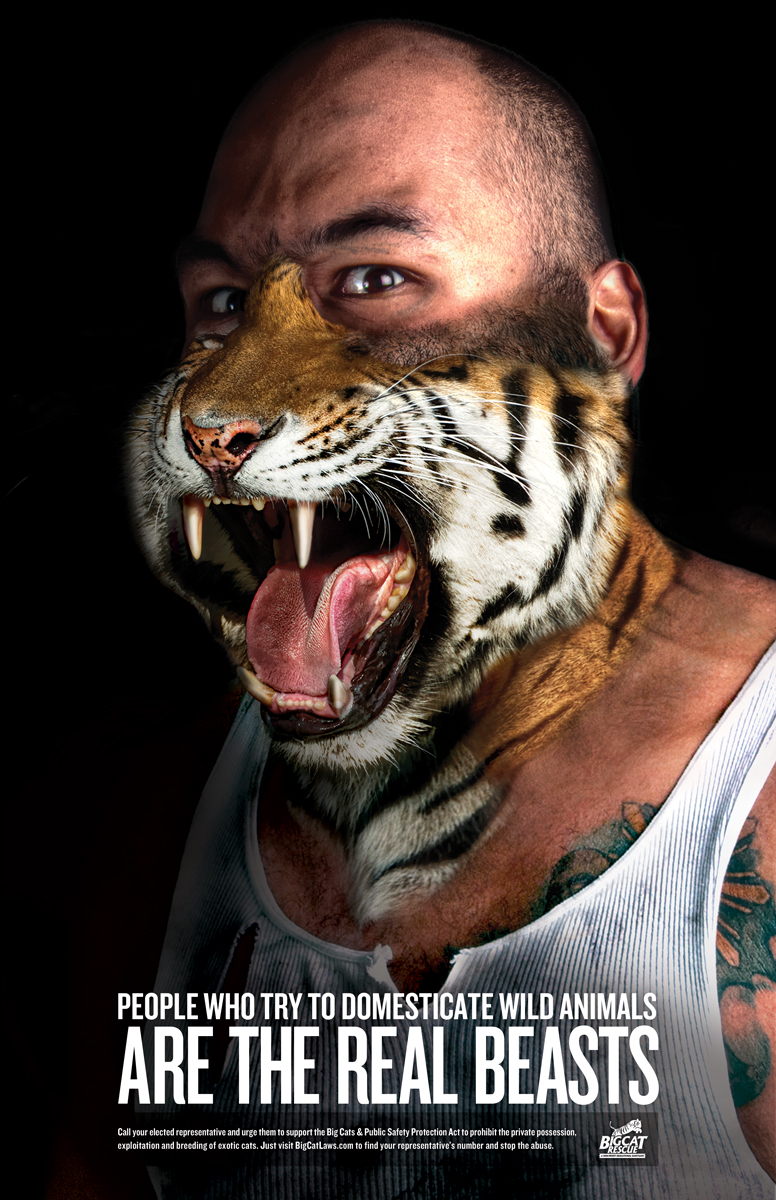 The Real Beasts - Graphis Portfolio