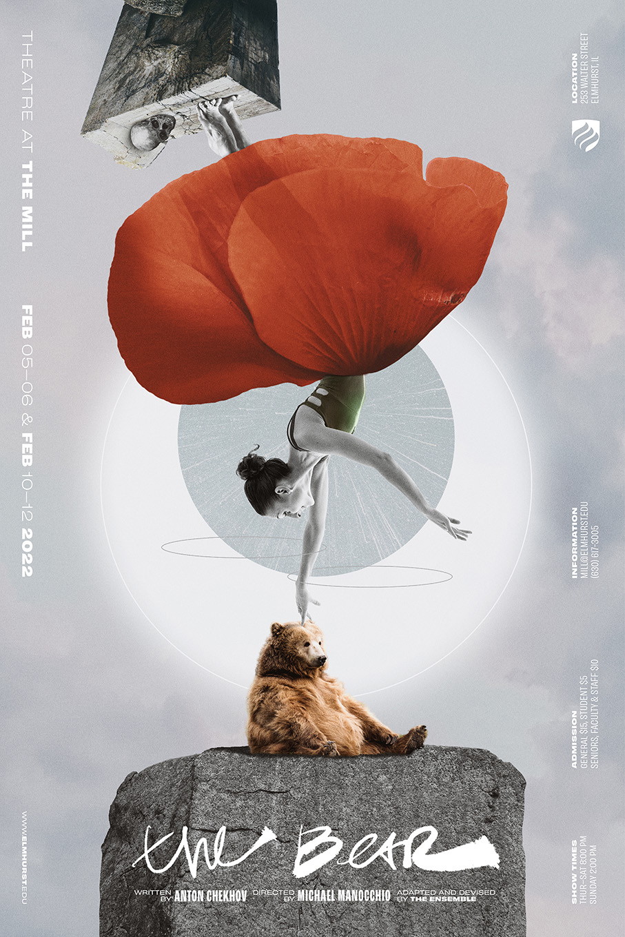 The Bear - Graphis Portfolio