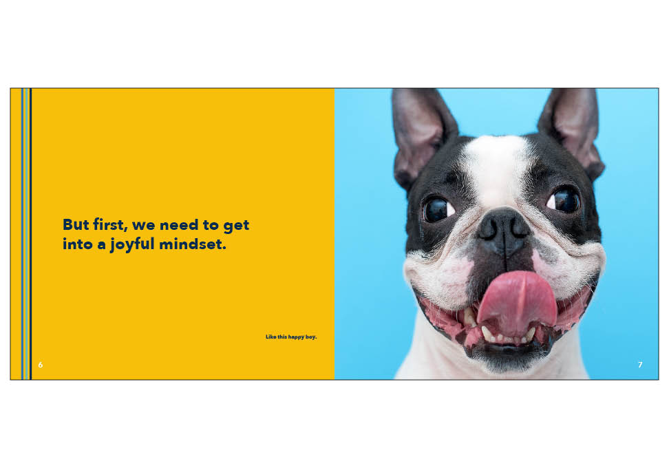 Stoneberry Brand Guidelines - Graphis Portfolio